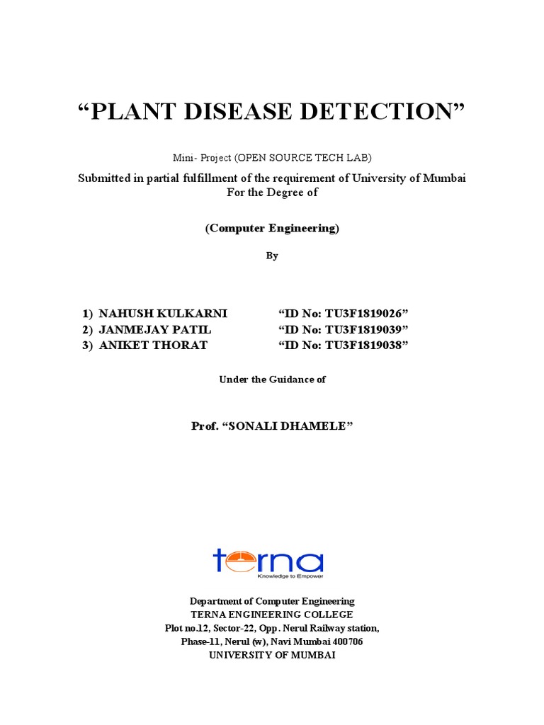 Python Mini Project | PDF | Image Segmentation | Computer Science