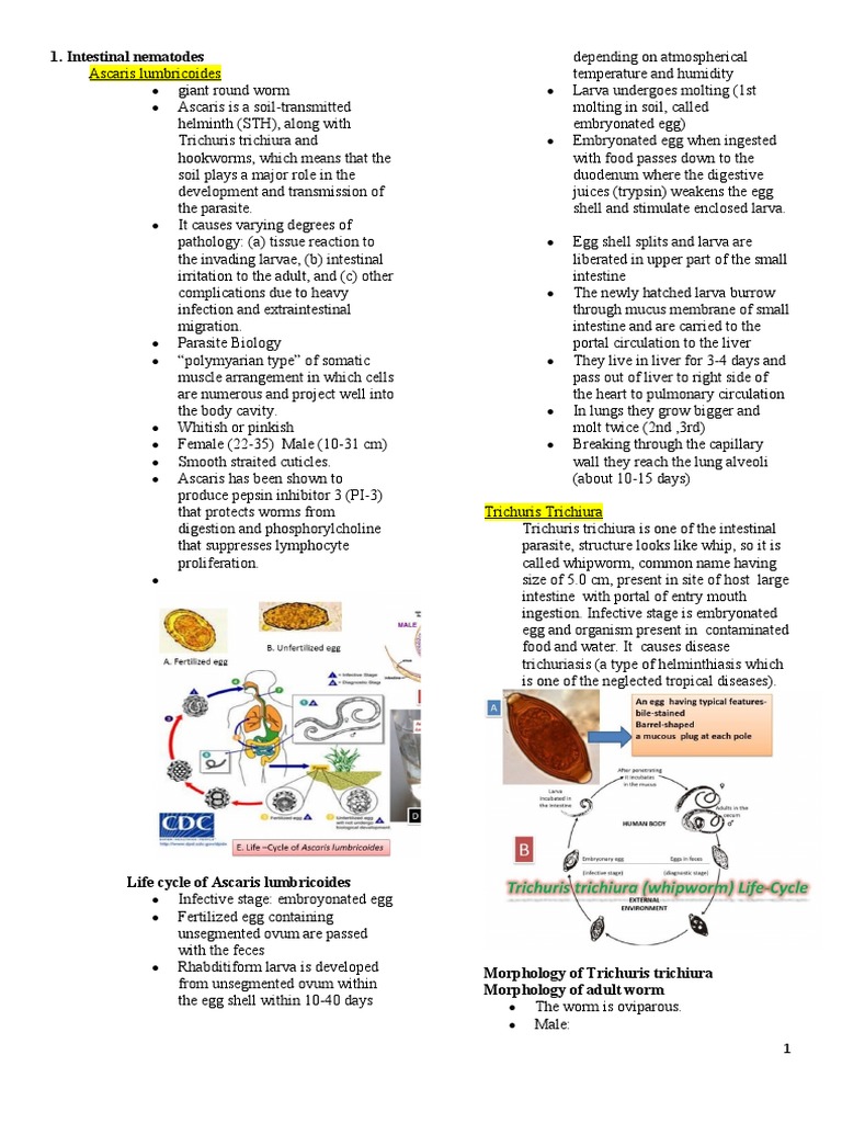 Finals Parasitology Notes | PDF | Medical Specialties | Parasitology