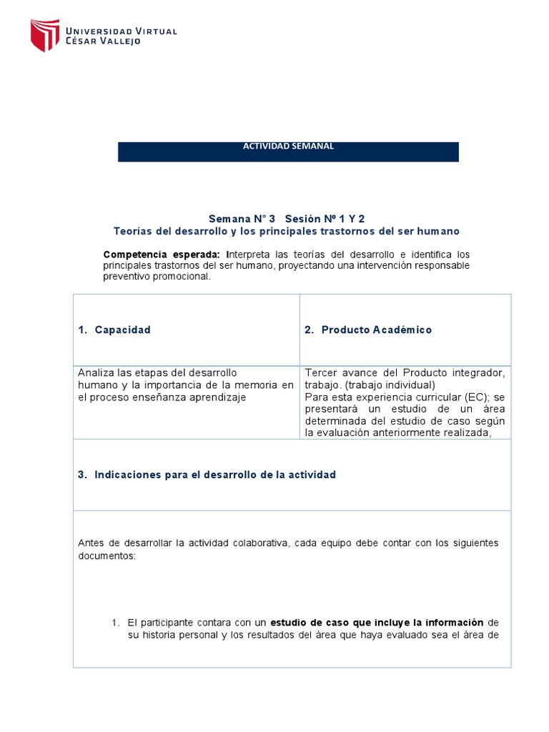 Programa de Intervencion (Individual) | Descargar gratis PDF | Atención ...
