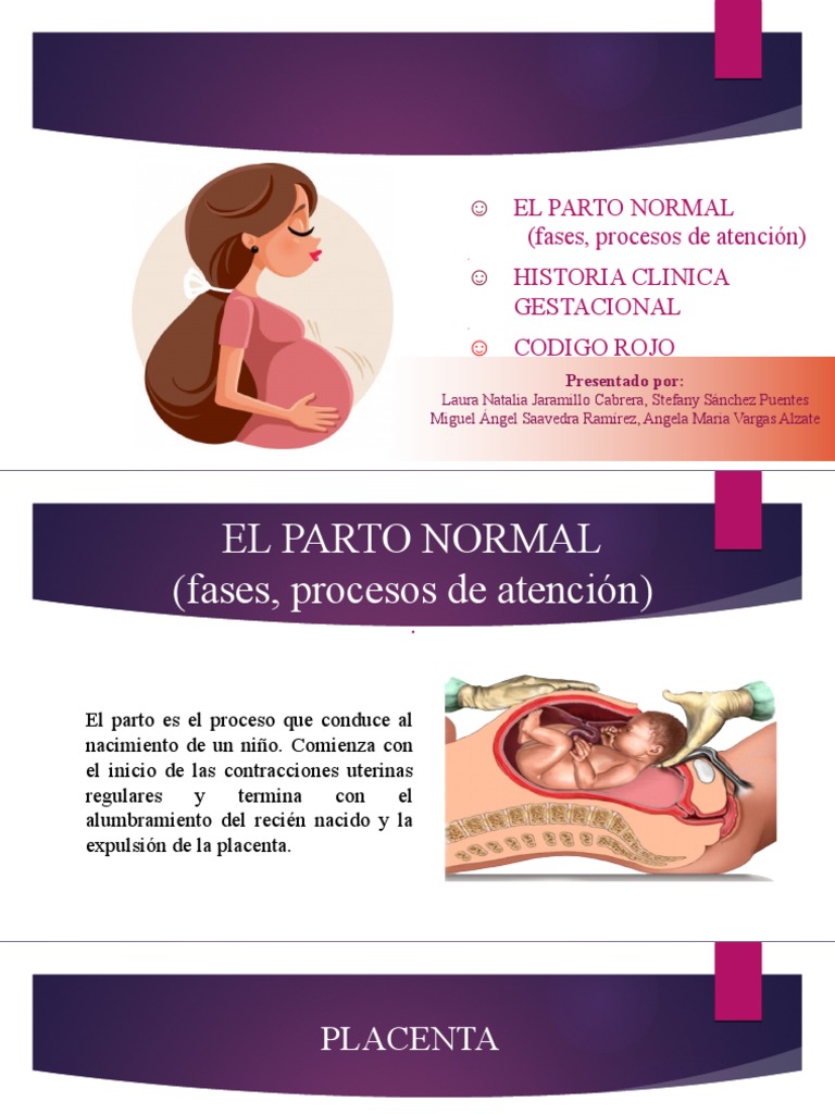 Fases Del Parto | PDF | Parto | Especialidades Medicas