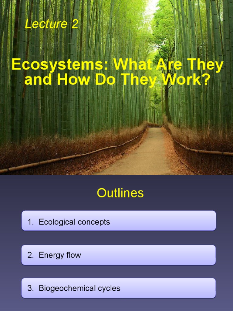Ecosystems: What Are They and How Do They Work? | Download Free PDF ...