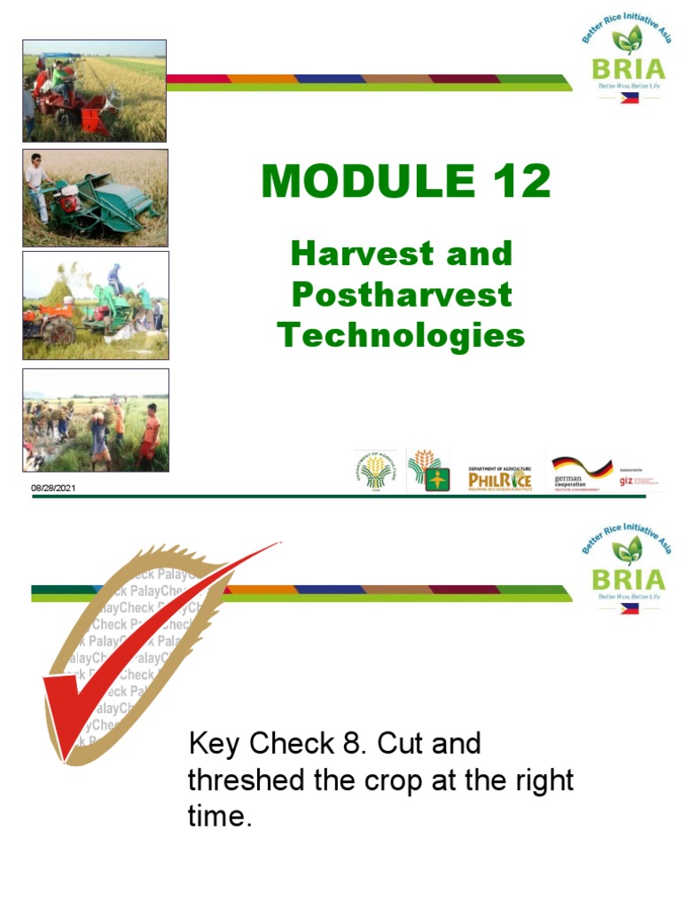 Harvest and Postharvest Technologies | PDF | Rice | Harvest