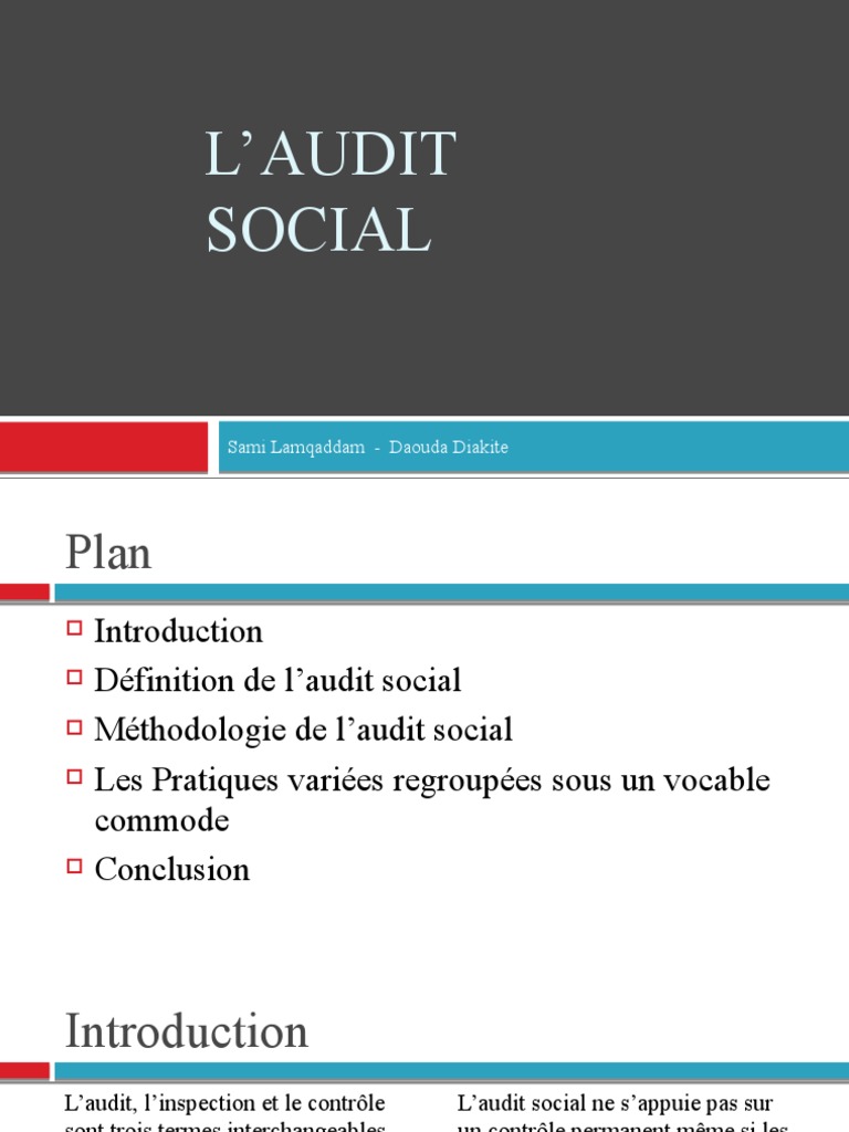 L Audit Social | PDF | Audit | Business