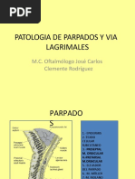 Diaz Apaza Anthony Jesus-Diascopia - Vitropresion | PDF ...