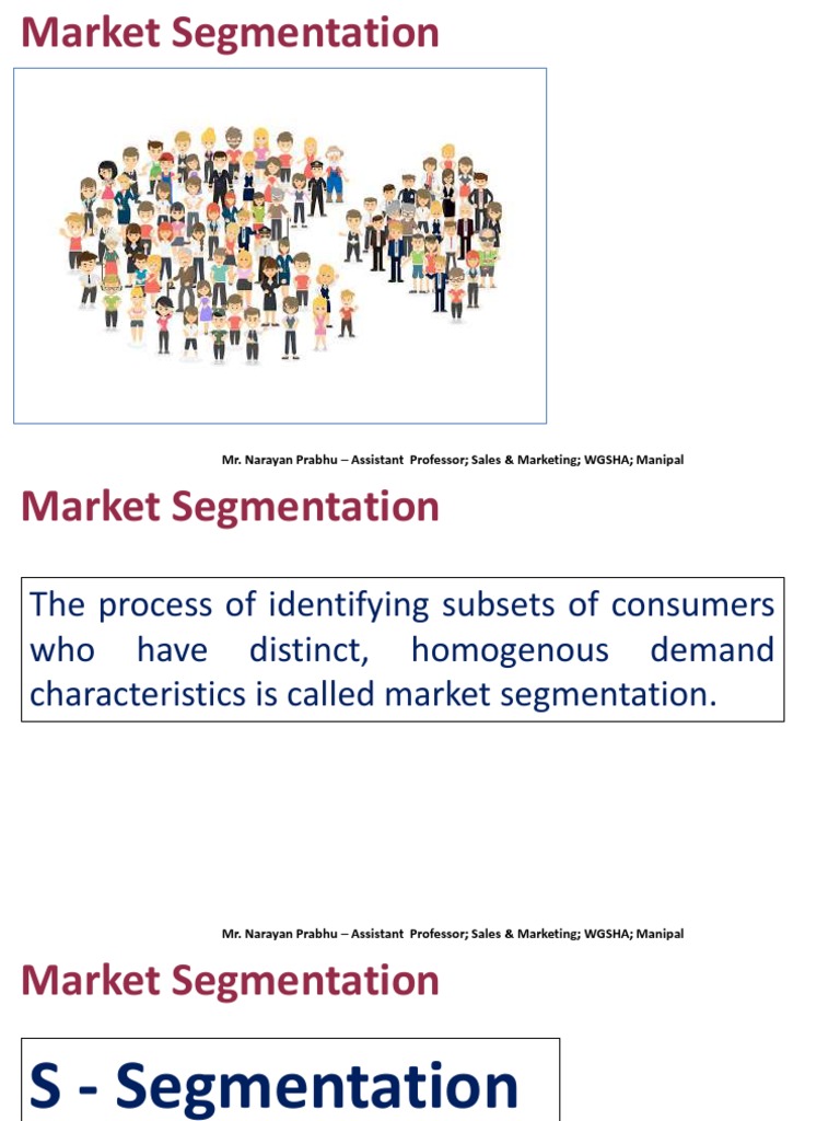 Market Segmentation | Download Free PDF | Marketing | Market Segmentation