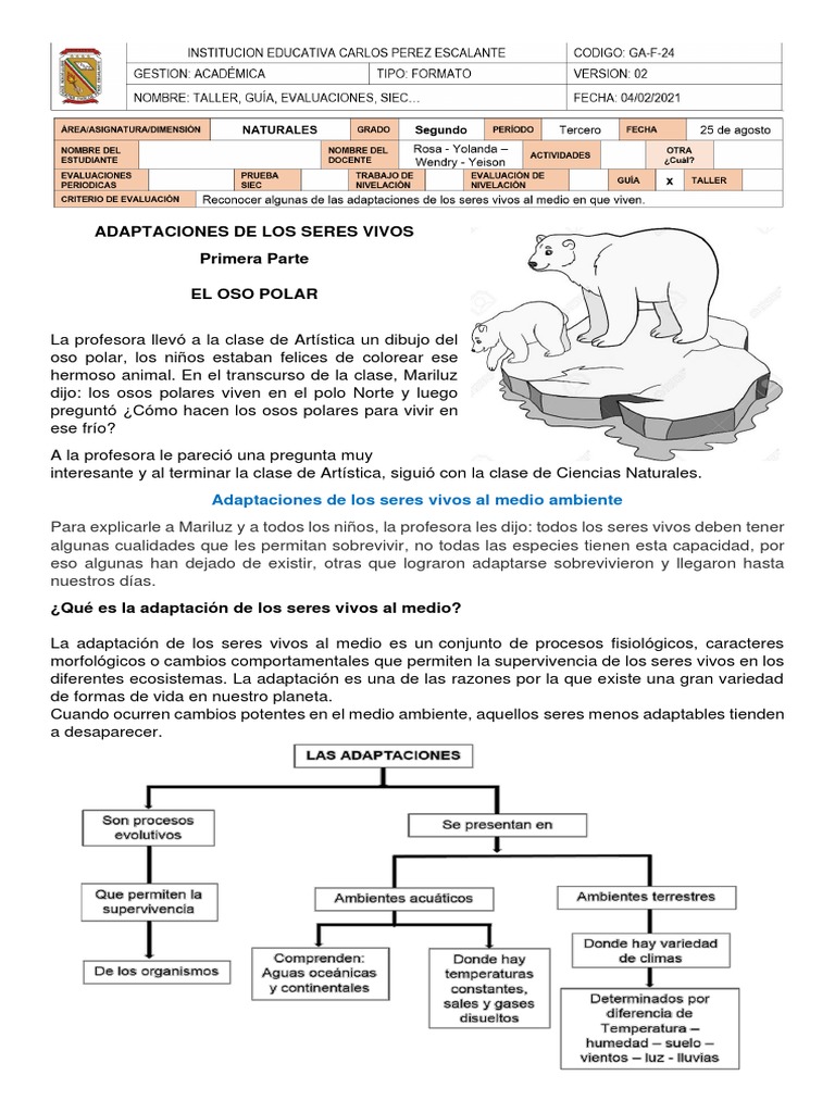 Adaptaciones del oso polar al frío extremo | PDF | Adaptación | Osos