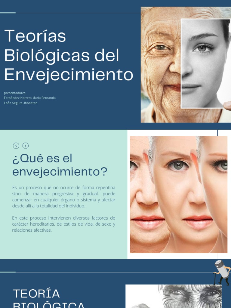 Teorias Biologicas Del Envejecimiento | PDF | Envejecimiento | Biología Celular)