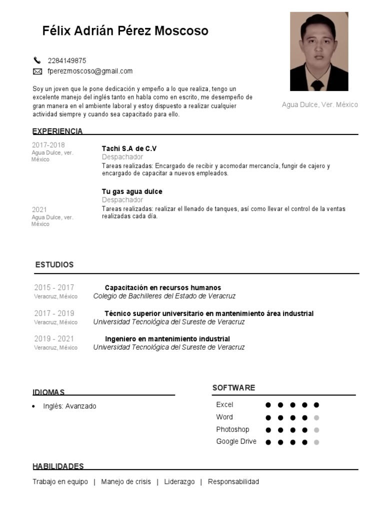 Curriculum Vitae Mexico | PDF