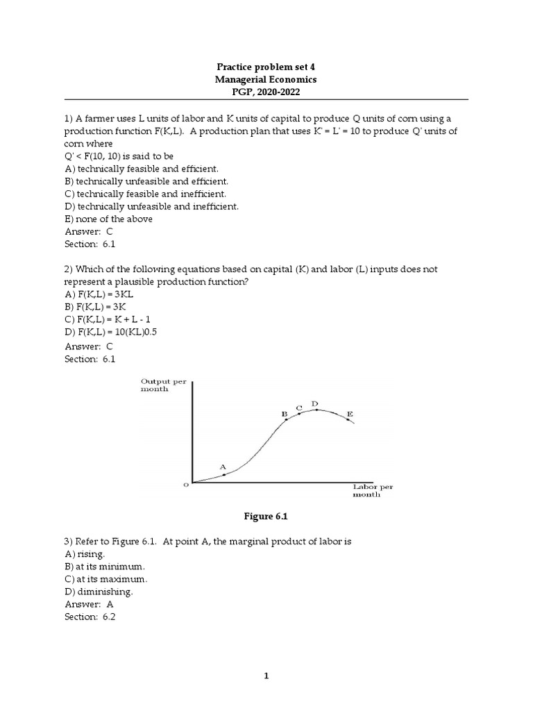 Managerial Economics Practice Problems | PDF | Production Function ...