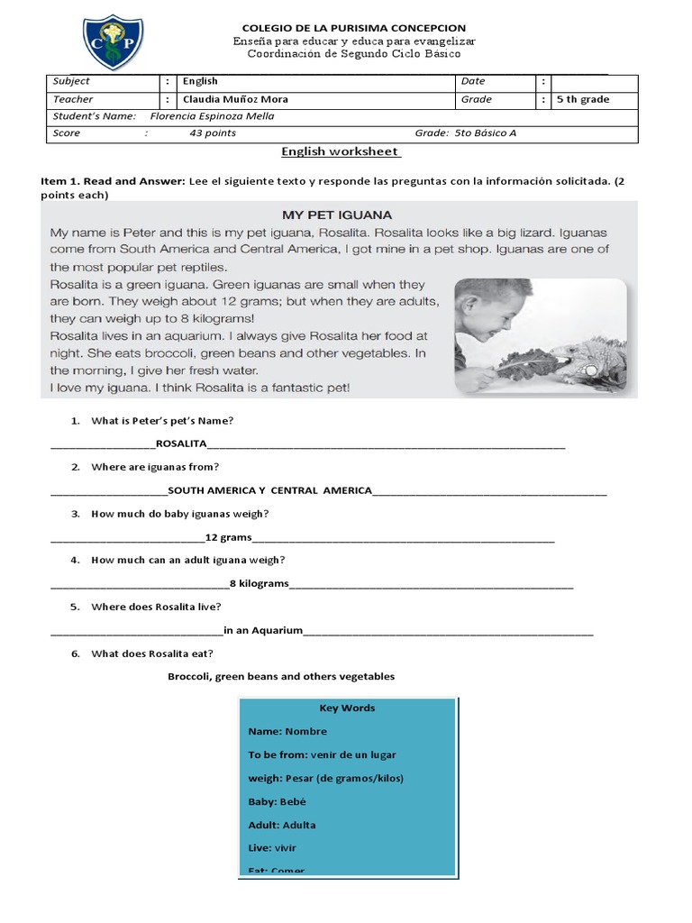 Guia Evaluada 5to Básico... | PDF