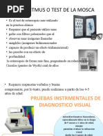 Test de la Mosca: Guía Práctica | PDF | Visión | Ligero