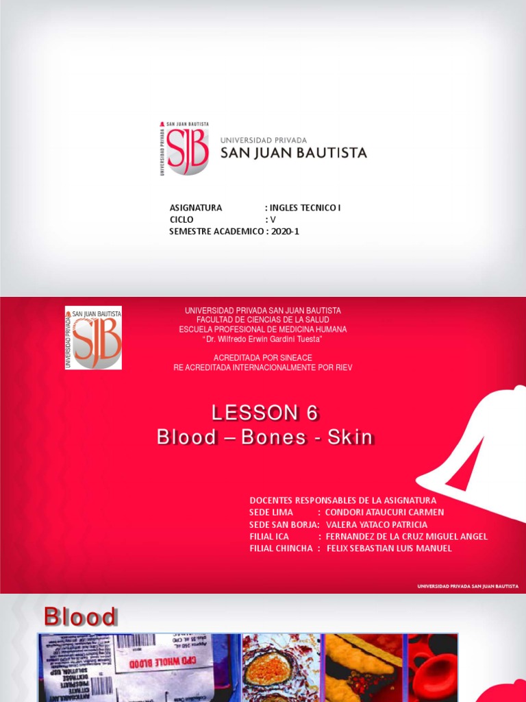 Technical English: Blood, Bones, Skin | PDF | Blood Donation | Blood Type