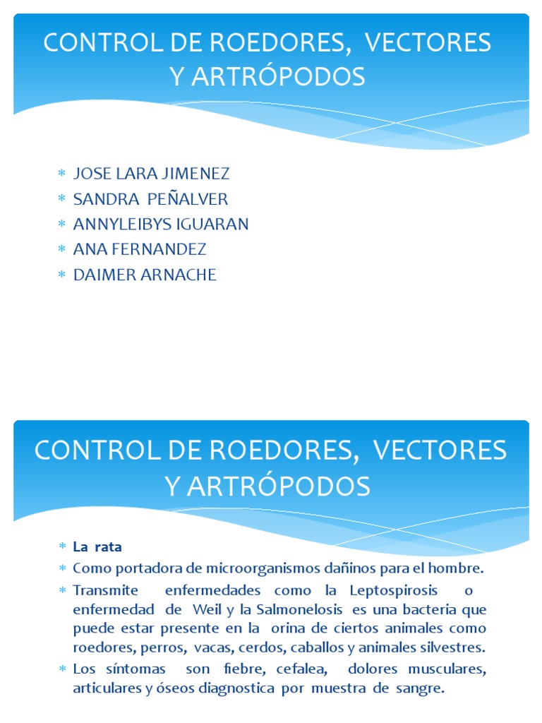 VECTORES | PDF | Vector (Epidemiología) | Infección