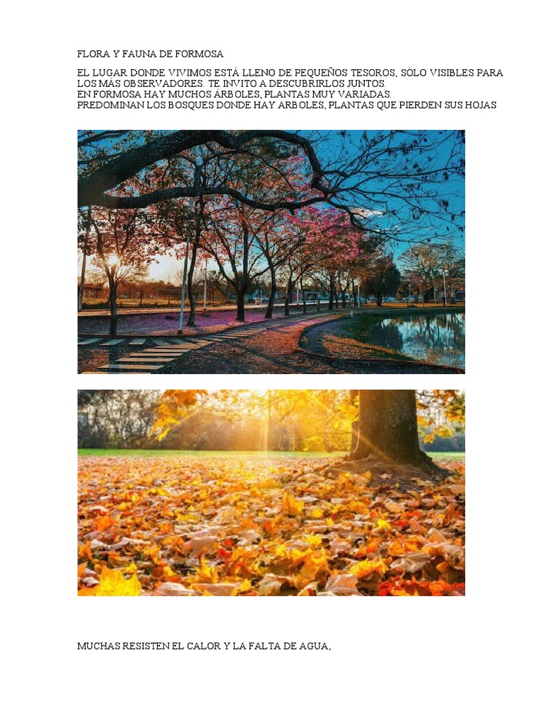 Flora y Fauna de Formosa-Gabriel | PDF | Arboles | Fauna