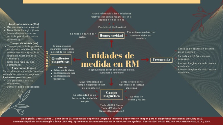 Unidades de Medida en RM | PDF | Campo magnético | Resonancia