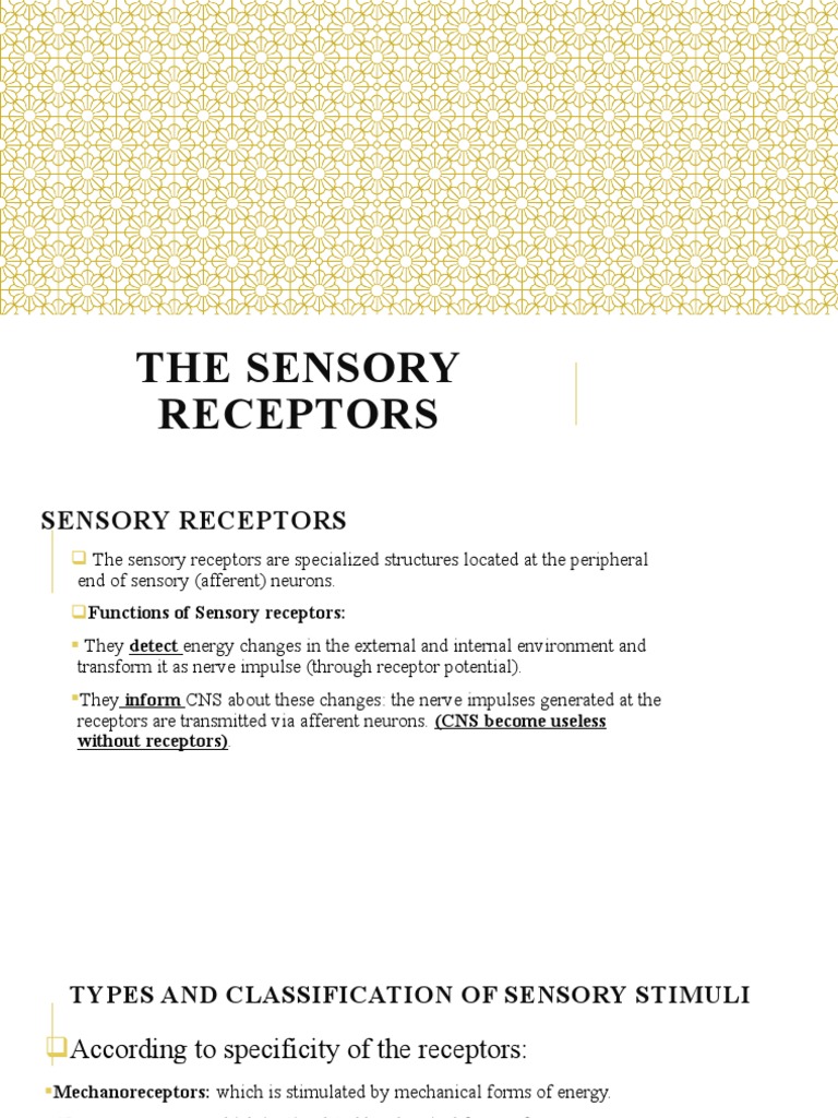 The Sensory Receptors | PDF