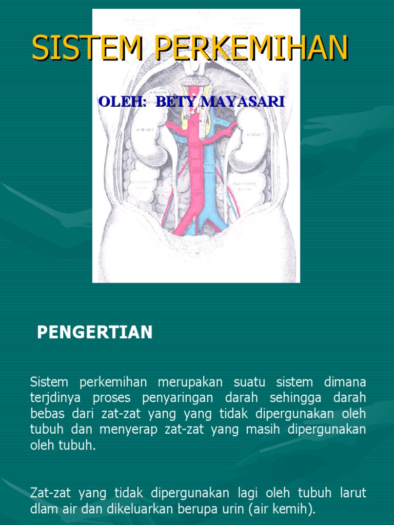 Sistem Perkemihan | PDF