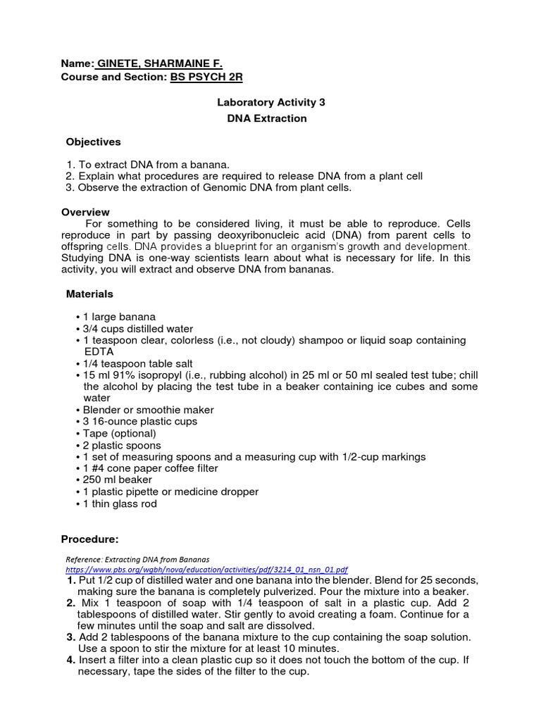 Banana DNA Extraction Lab Activity | PDF | Cell (Biology) | Filtration