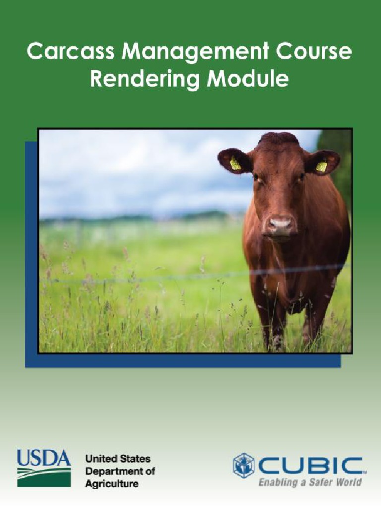 Carcass Management through Rendering | PDF | Occupational Safety And ...