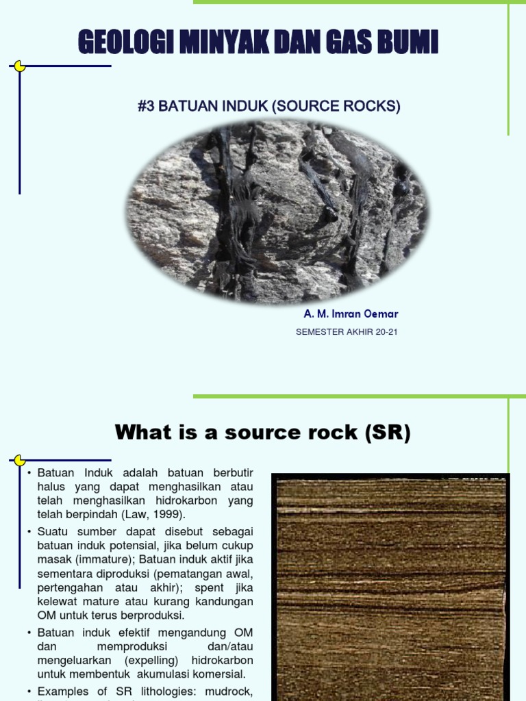 3a Batuan Induk Source Rocks | PDF | Teknologi & Rekayasa