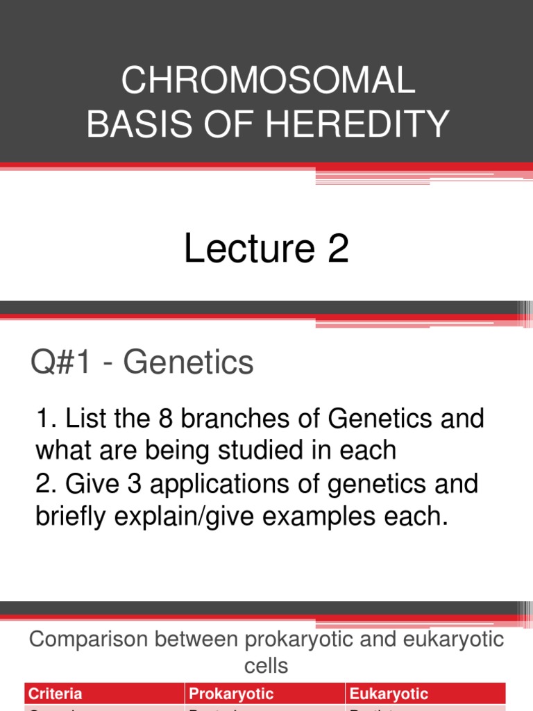 Genetics Lecture 2 Chromosomal Basis of Heredity | PDF | Meiosis | Mitosis