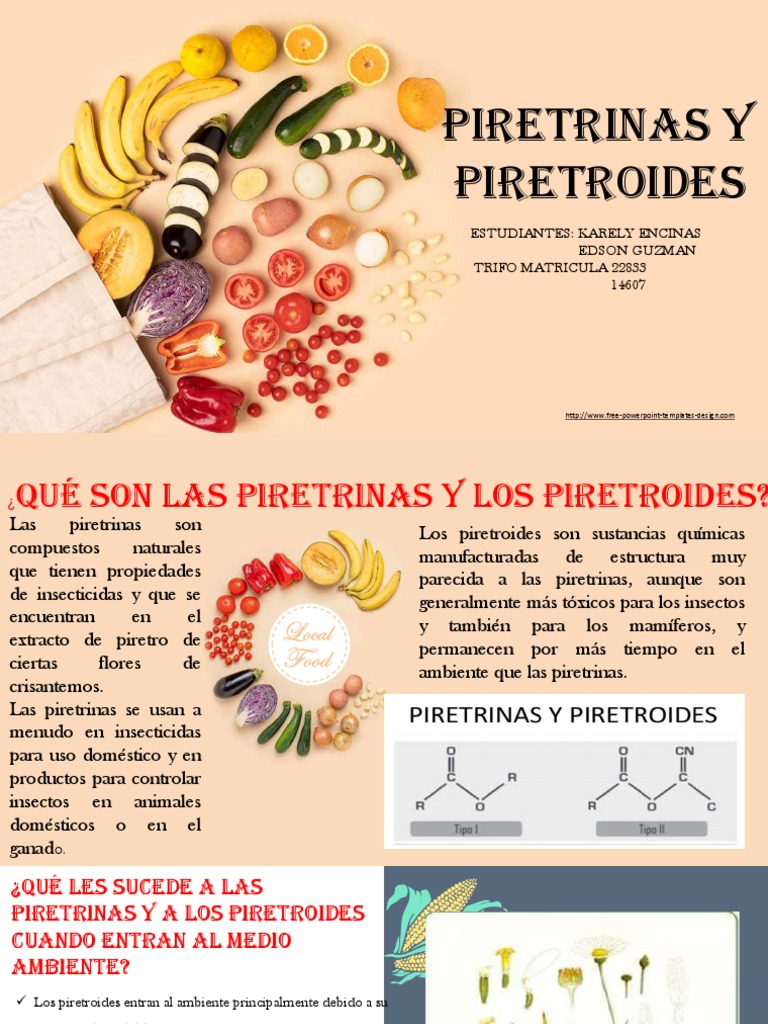 Piretrinas | PDF | Especialidades Medicas