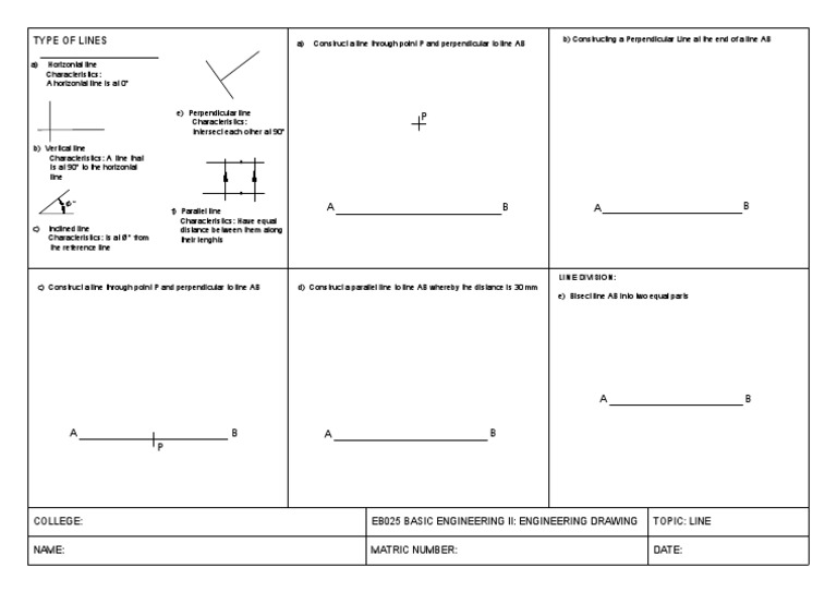 Type of Lines: Line Division | PDF | Perpendicular | Elementary Mathematics