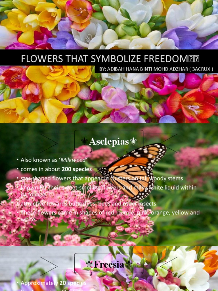 Flowers That Symbolize Freedom?? | PDF