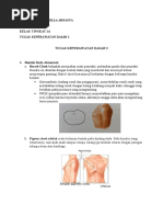 Bentuk Dada Normal dan Abnormal | PDF | Kajian Bahasa Asing | Sains ...