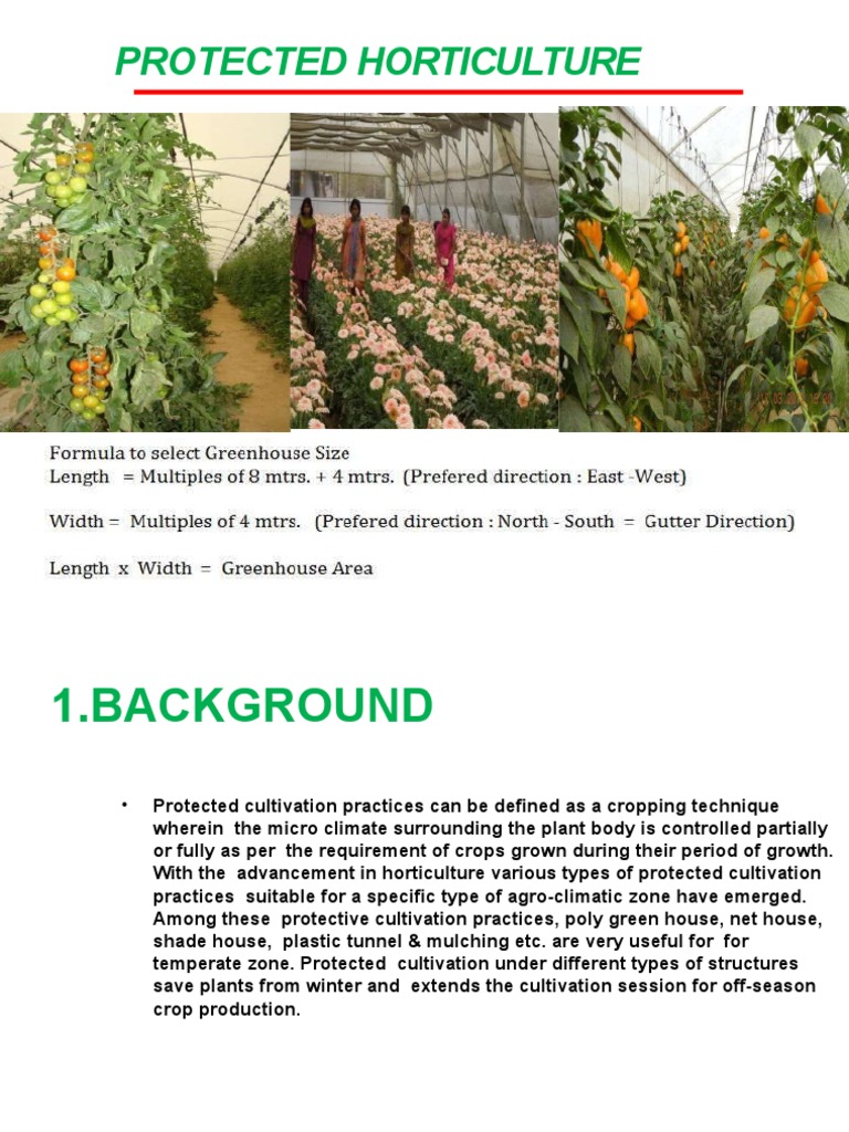 Protected Horticulture | PDF | Capsicum | Greenhouse