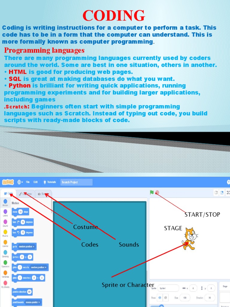 Coding: Programming Languages | Download Free PDF | Computer Programming | Scripting Language