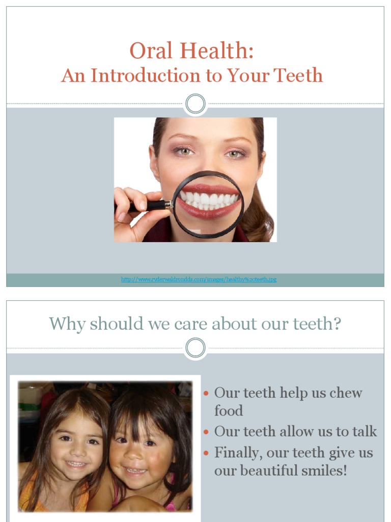 An Introduction To Your Teeth: Oral Health | PDF | Tooth | Oral Hygiene