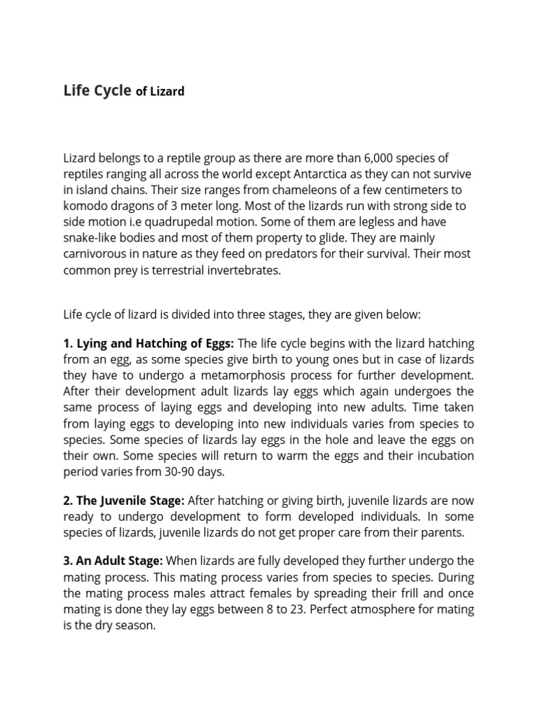 Life Cycle of A Lizard | PDF