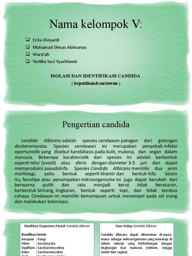 Candida | PDF