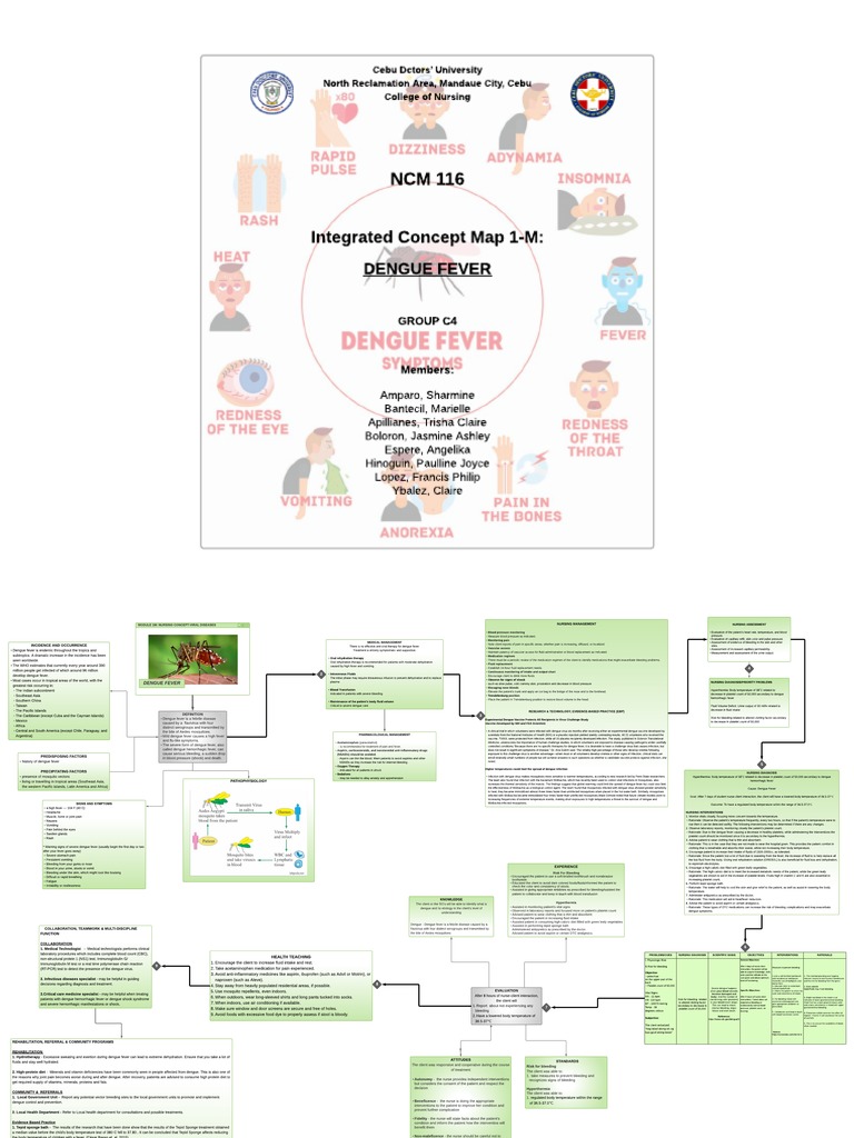 NCM 118 Icm Dengue Fever Group 4 | PDF | Fever | Infection