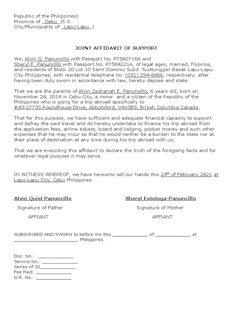Affidavit of Support | PDF