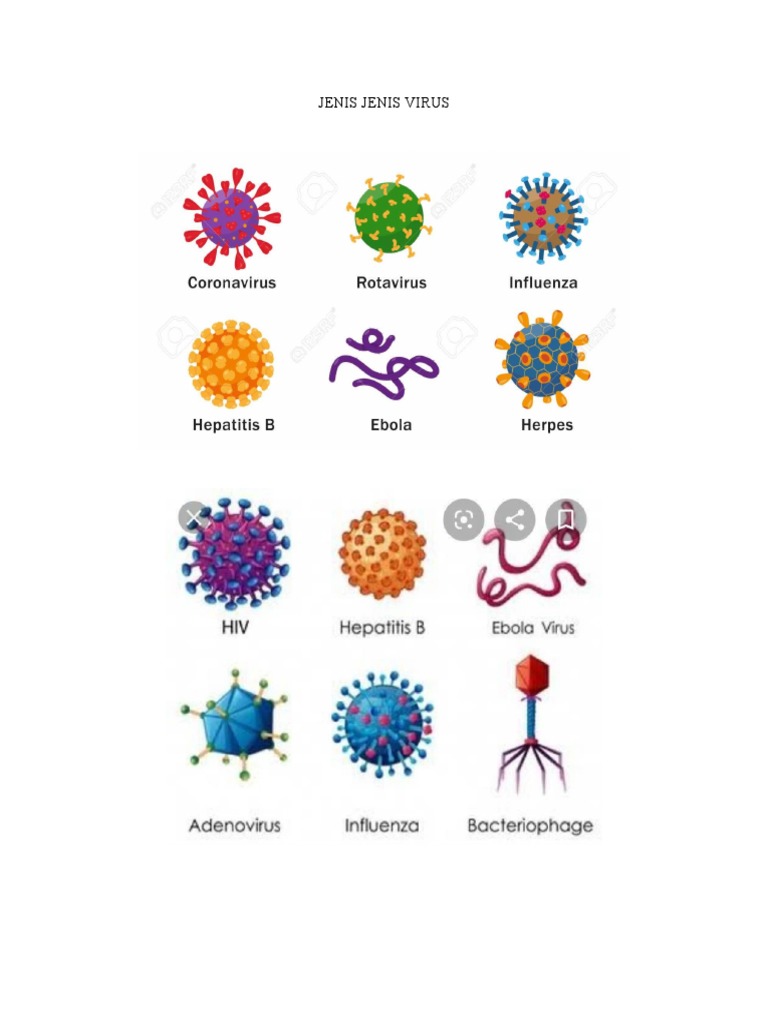 Jenis Jenis Virus | PDF