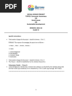 Class 10 CBSE Social Science Project (2024-25) | PDF