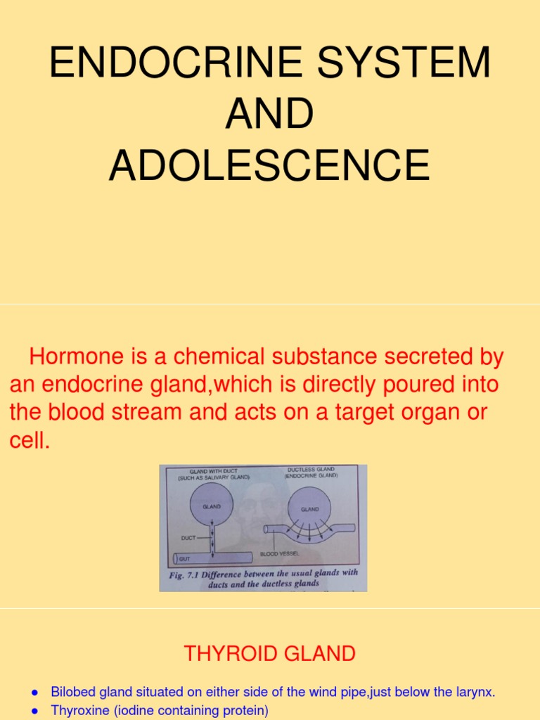 Endocrine System in Adolescence | PDF | Hormone | Adrenal Gland