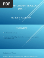 2025 PC - Actual Port Charges SH & Mict - Handout | PDF | Cargo ...