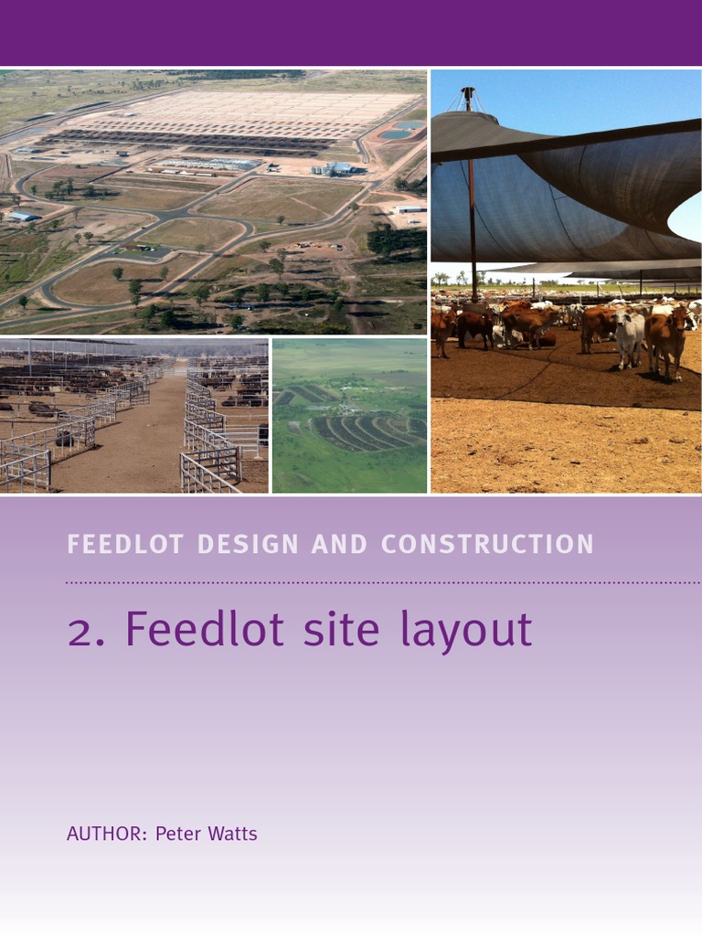 Feedlot Site Layout 2016 | PDF | Road | Cattle