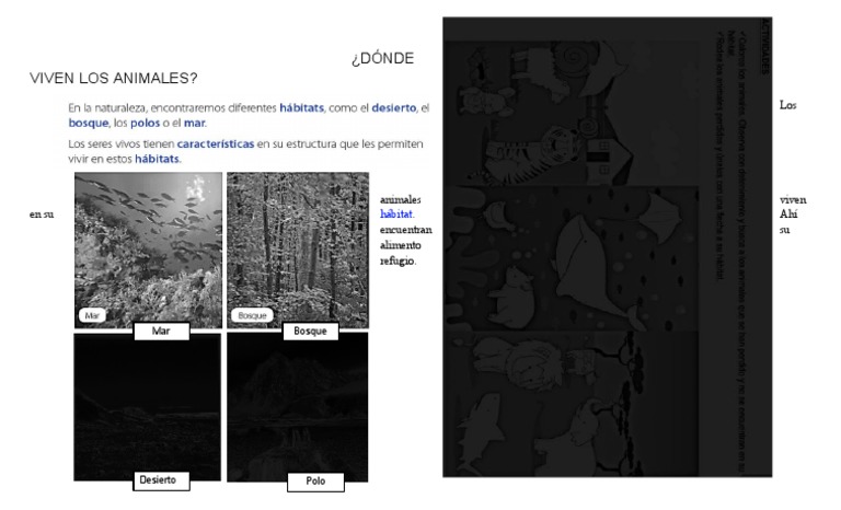 Dónde Viven Los Animales | PDF
