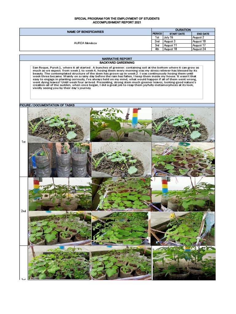 Spes Gardening Accomplishment Form | PDF