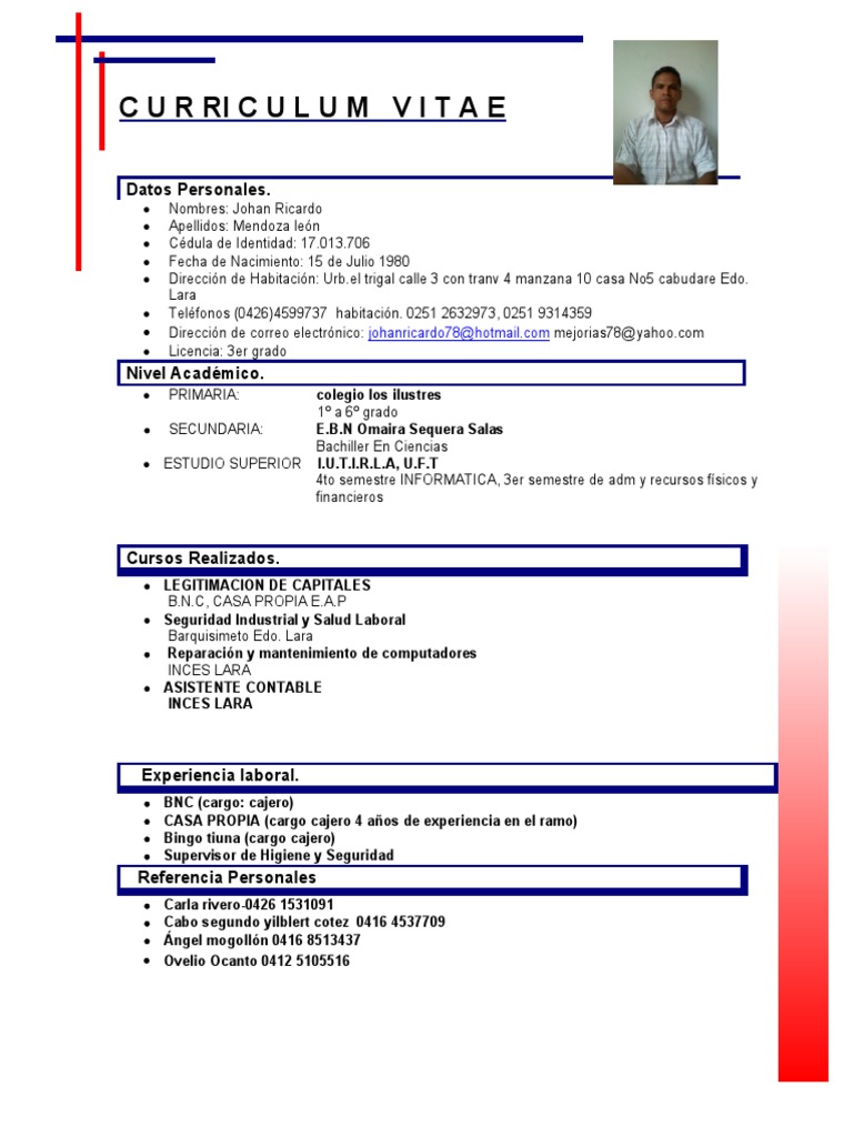 Curriculum Johan | PDF