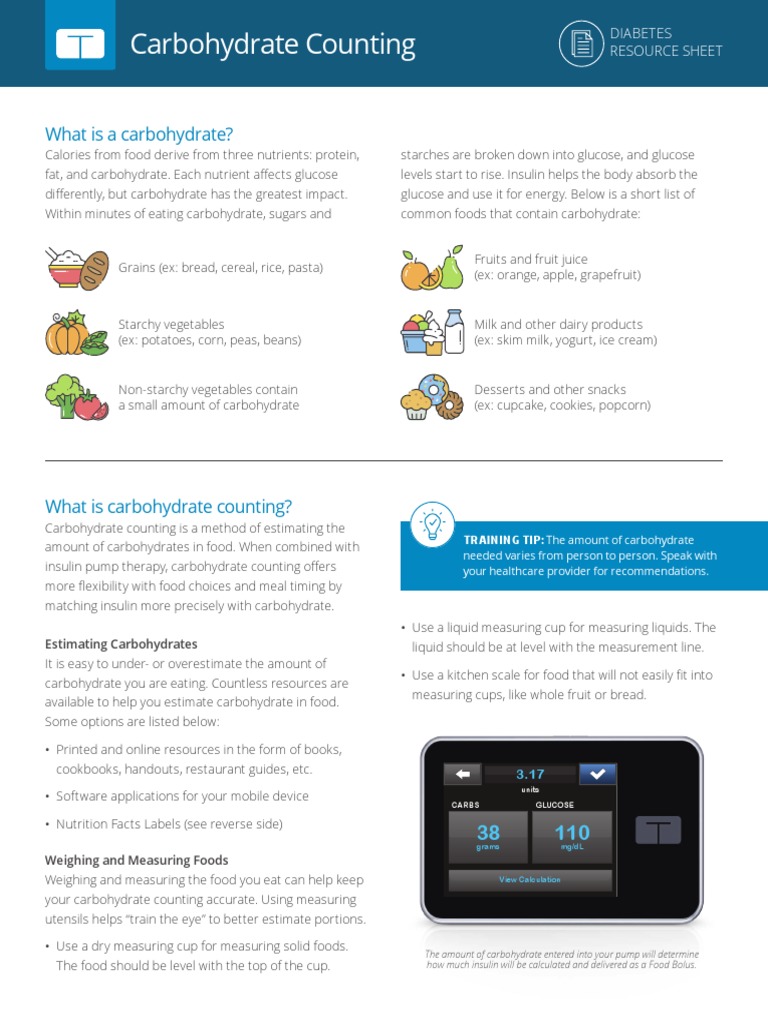 Sheet Carb Counting | PDF | Carbohydrates | Foods