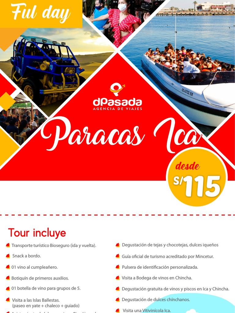Avistamiento de Lobos Marinos en Paracas | PDF