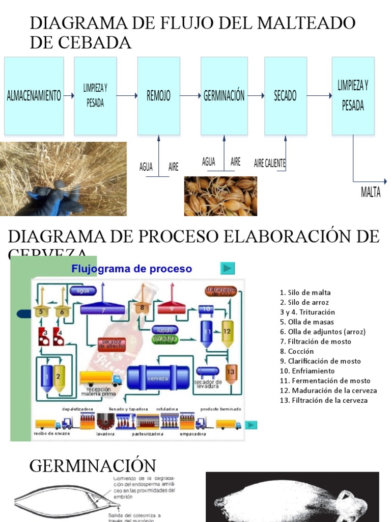 Diagrama de Flujo Del Malteado de Cebada | PDF