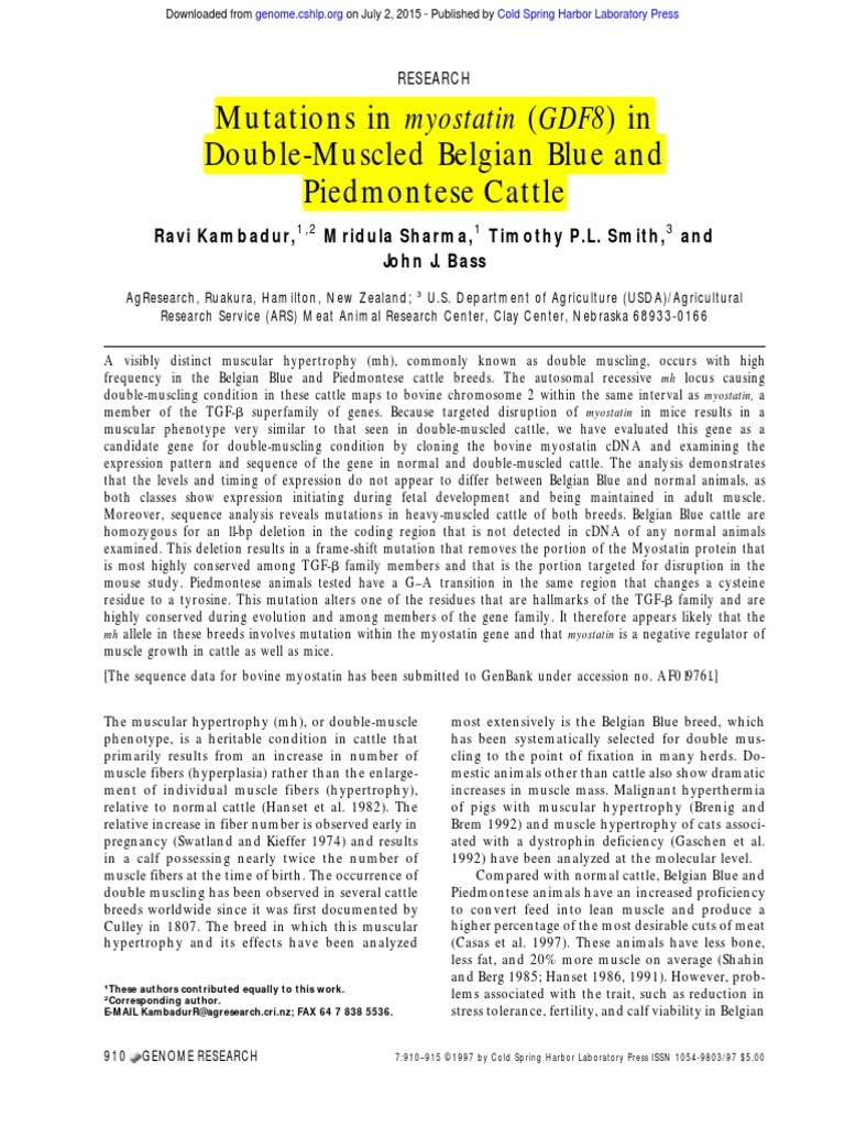 Mutations in Myostatin (GDF8) in Double-Muscled Belgian Blue and ...