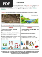 Los Seres Vivos y El Medio Ambiente 3º Primaria | PDF | Plantas | Alimentos