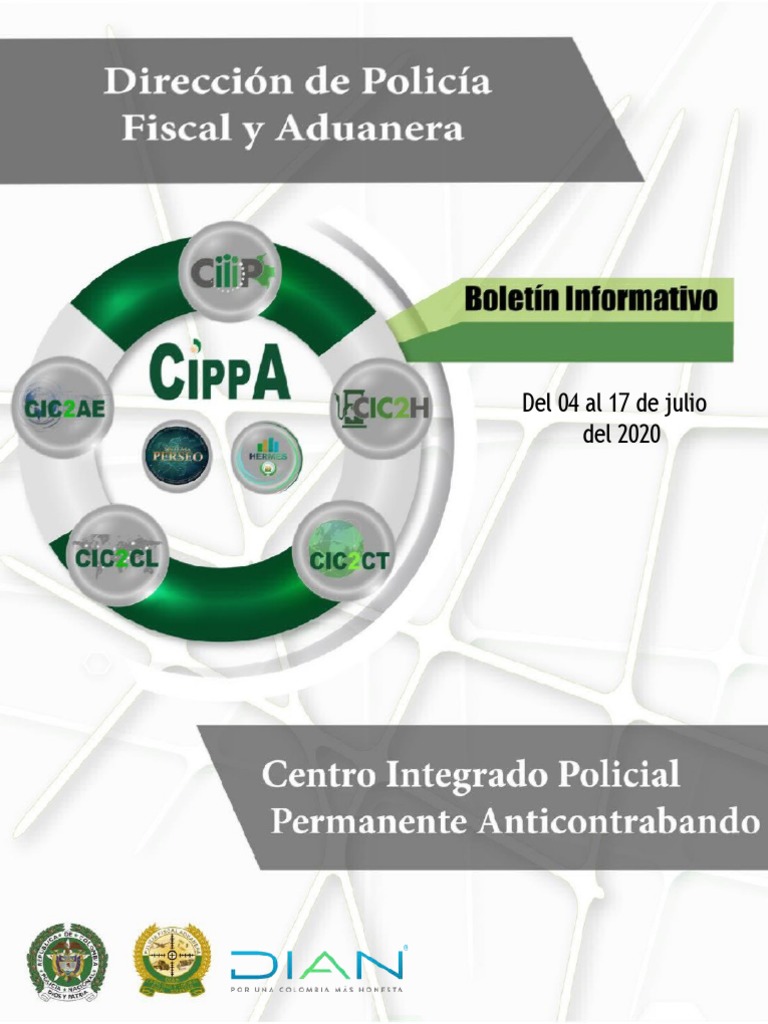 BOLETIN No. 19 - CIPPA | PDF